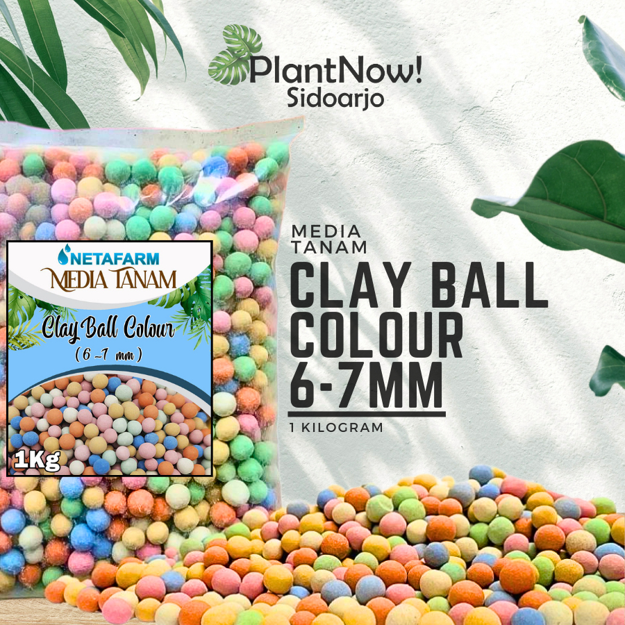 Jual Media Tanam Unik Hidroton Warna Warni (Leca Clay Ball) 6-7 mm ...