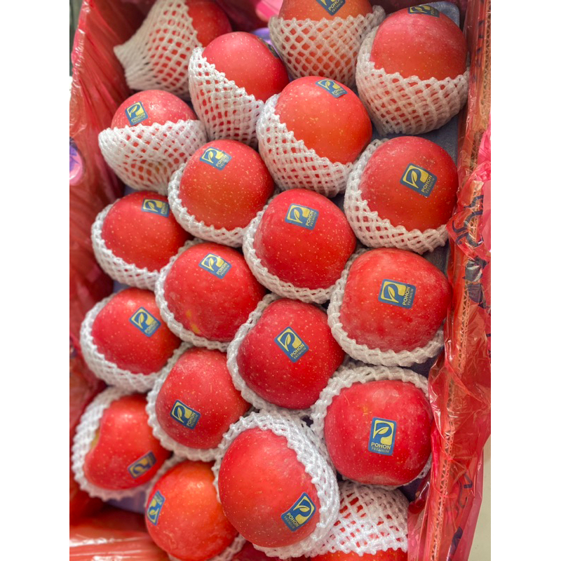 Jual Apel pohon premium 1kg *PROMO* | Shopee Indonesia