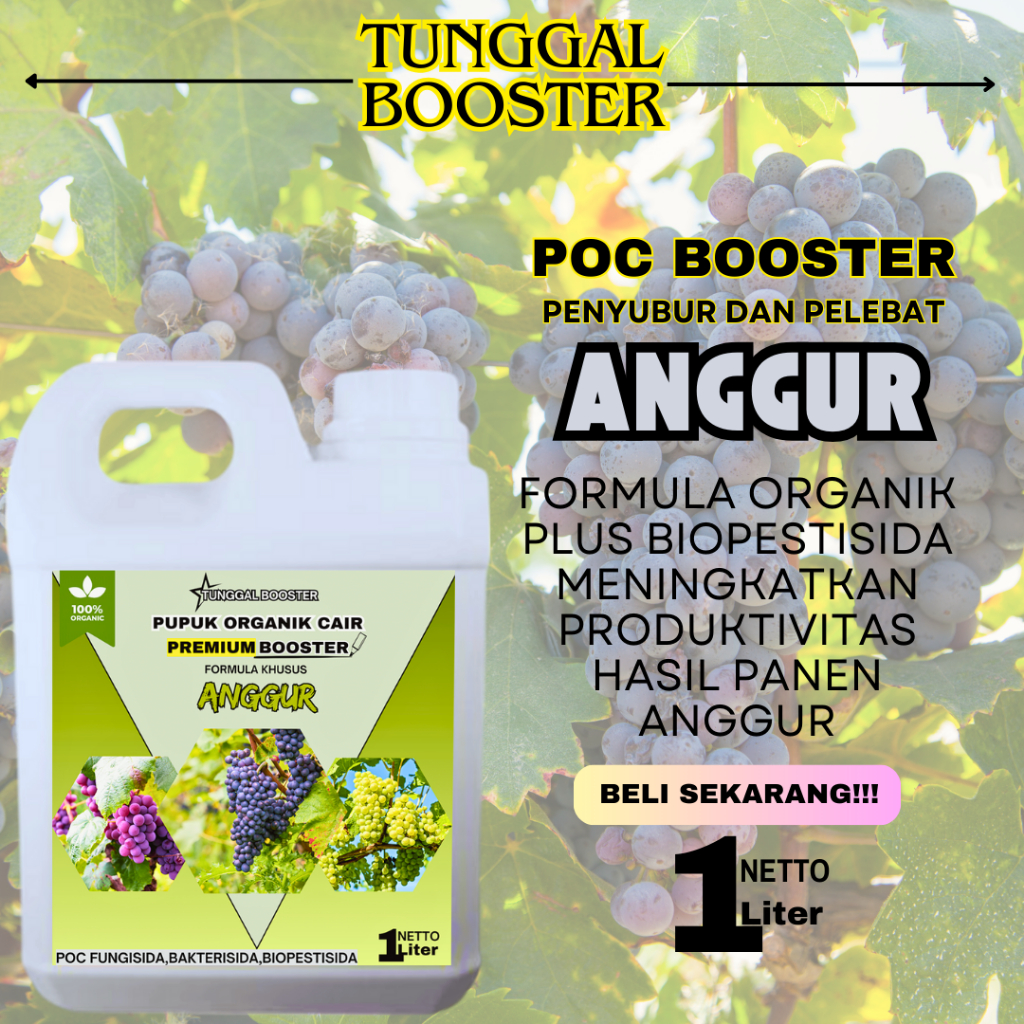 Jual Pupuk Organik Cair Tanaman Anggur Booster Pelebat dan Perangsang Buah Anggur premium 1Liter ...