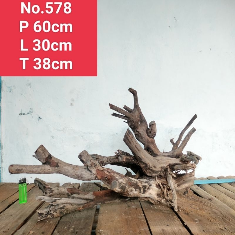 Jual bonggolan akar santigi laut kayu dekorasi aquascape aquarium 578 ...