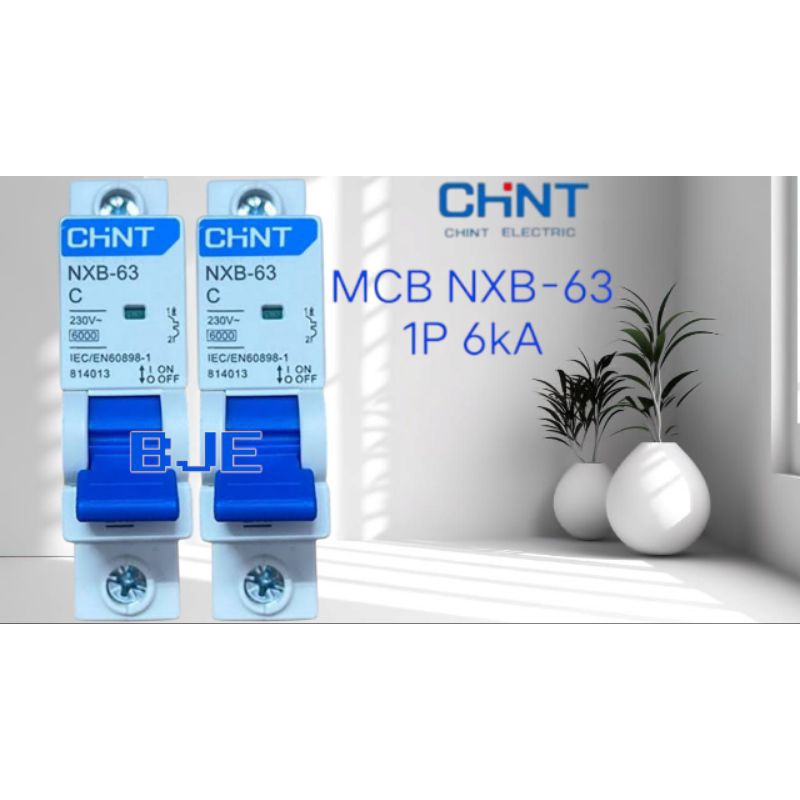 Jual MCB CHNT 1PASHE C6 ORIGINAL | Shopee Indonesia