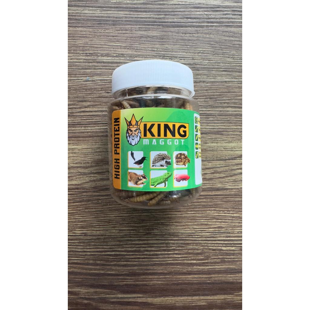 Jual KING MAGGOT / ULAT MAGGOT UNTUK BURUNG, LANDAK MINI, KURA-KURA ...