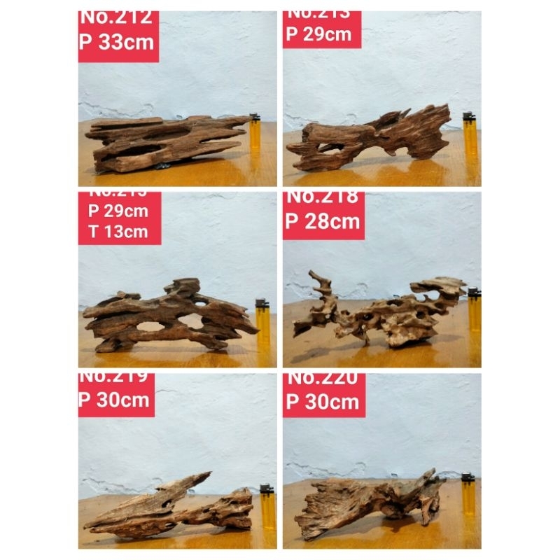 Jual kayu rentek drift Wood kayu aquarium aquascape 201 SD 220 | Shopee ...