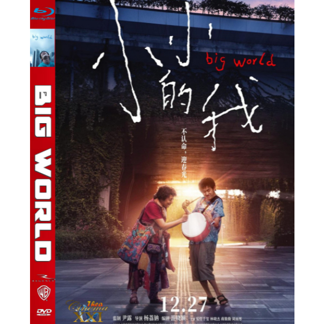 Jual Kaset DVD Movie Box Office Hong Kong : Big World (2024) | Shopee Indonesia