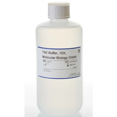 Jual TAE Buffer 10X, 1000ml Promega | Shopee Indonesia