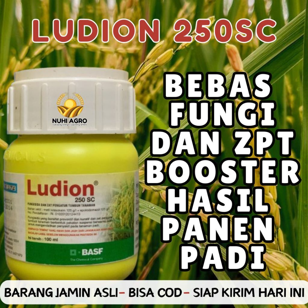 Jual Fungisida Ludion 250SC - 100ml Epoksikonazol Metil Kresoksim Obat ...