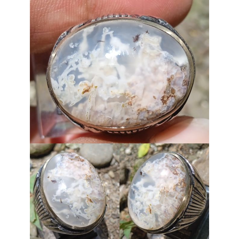 Jual Batu cincin badar lumut motif klapa muda | Shopee Indonesia