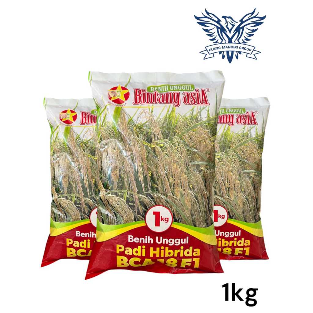 Jual BCA 18 F1 1kg Benih Unggul Padi Hibrida Bintang Asia benih padi mapan | Shopee Indonesia