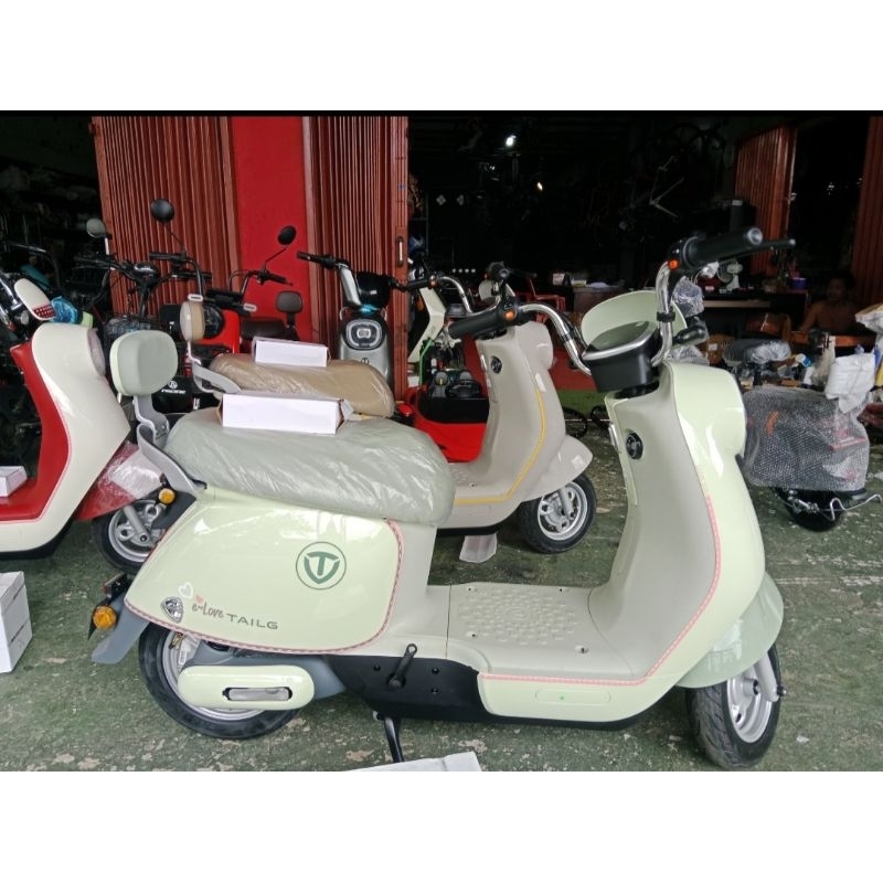 Jual sepeda listrik TAILG GR52 TERBARU PONTIANAK | Shopee Indonesia