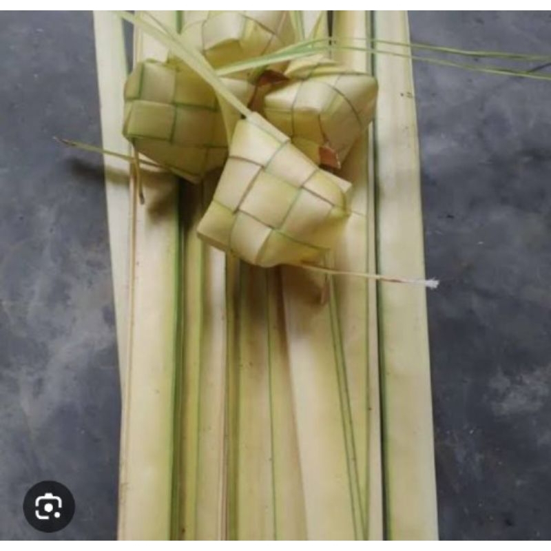 Jual new produk,PROMO daun kelapa muda/janur kuning per 11 pcs | Shopee ...