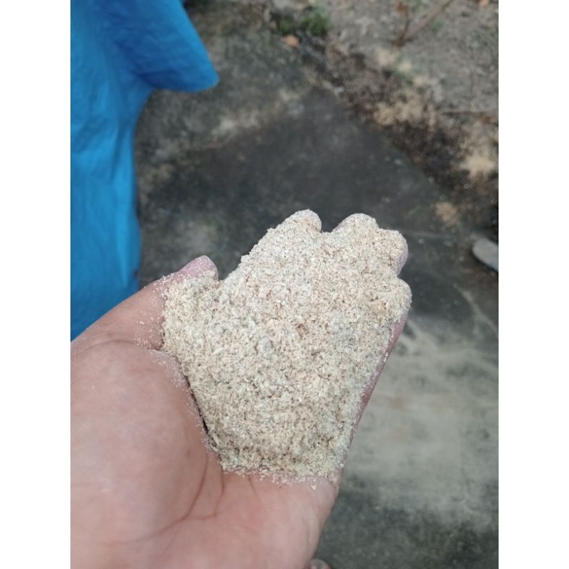 Jual jual katul |bekatul dedak | pakan ternak | pakan bebek | pakan ...