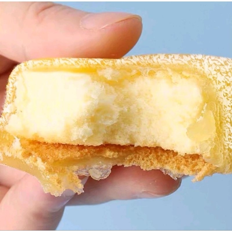 Jual CONLEY MOCHI KUE NAGASAKI VIRAL 1 BOX ISI 16 PCS MIX 4 RASA ...