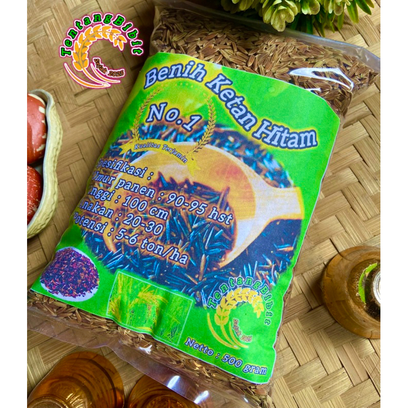 Jual Benih ketan hitam / bibit ketan hitam 500 gram | Shopee Indonesia