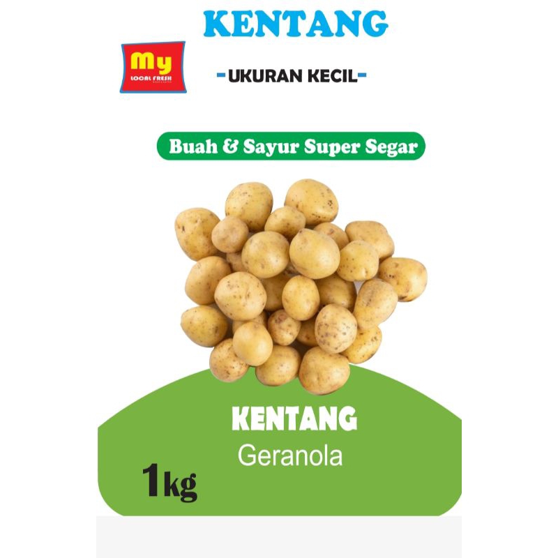 Jual Kentang Segar [ Ukuran Kecil ] 1 Kg | Shopee Indonesia