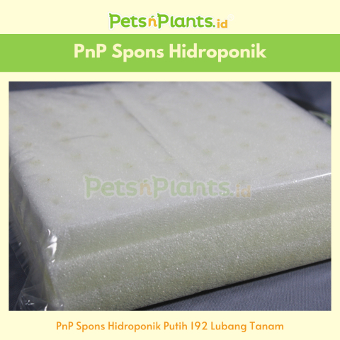 Jual PnP Spons Hidroponik Putih 192 Lubang Tanam | Shopee Indonesia