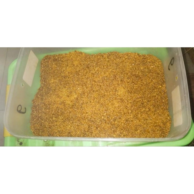 Jual Voer Tradisional Burung Kicau Juara 1 Kg | Shopee Indonesia