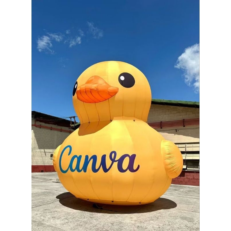 Jual balon display bebek pesanan khusus ka Jihan | Shopee Indonesia