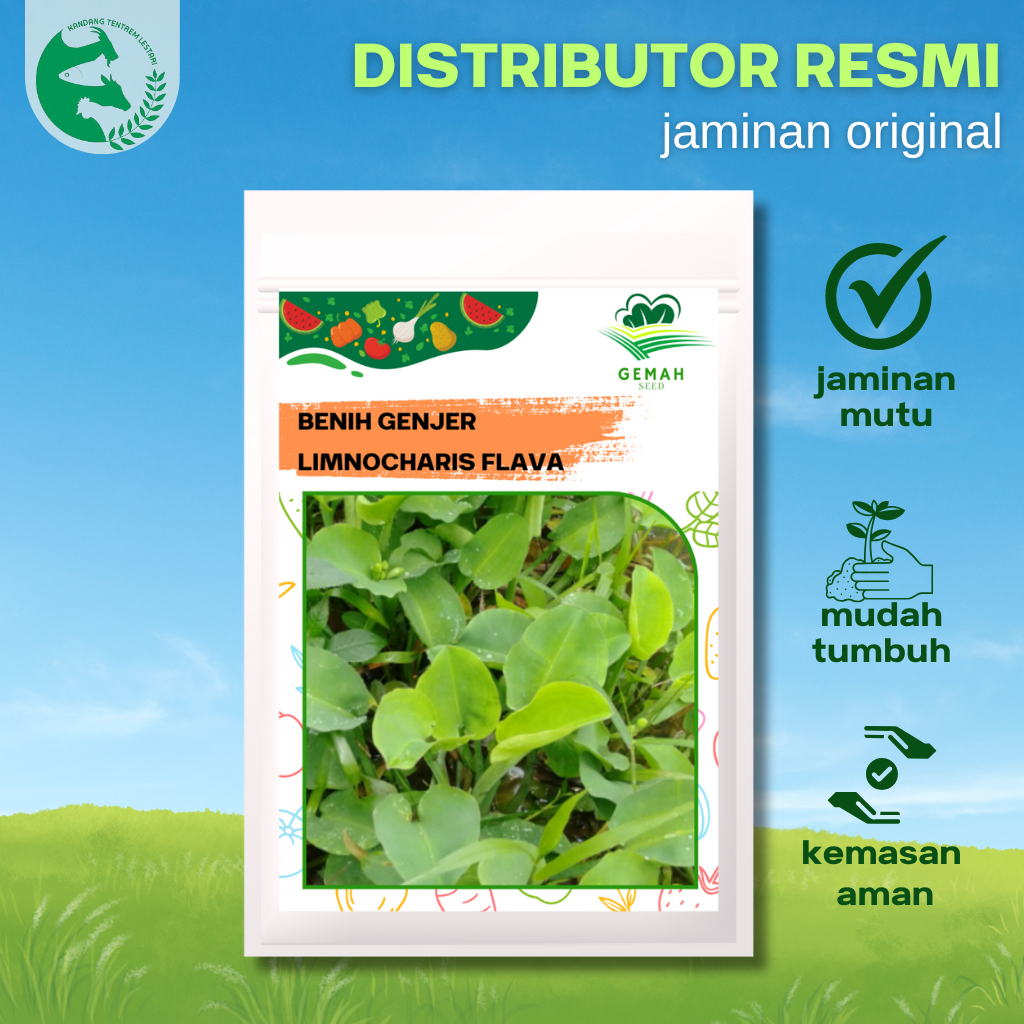 Jual Benih Sayur Genjer Gendot Ratusan Biji Unggul GEMAH SEED Produksi ...