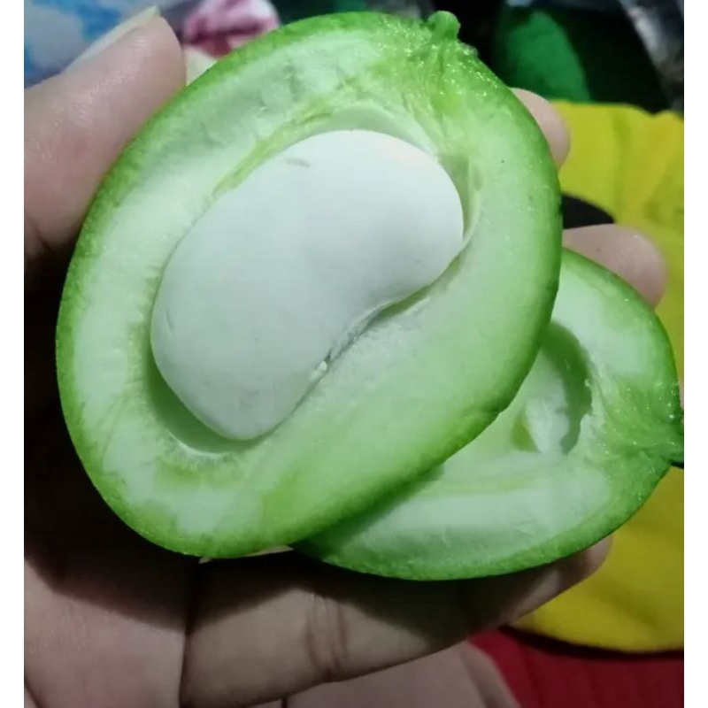 Jual mangga telur mentah belah biiji segar 1 kg | Shopee Indonesia