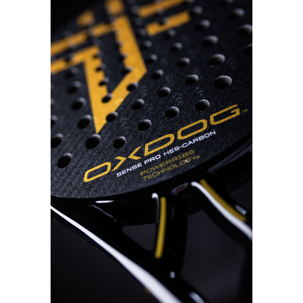 Jual OXDOG Sense Pro Padel Racket | Raket Paddle Power - Control ...
