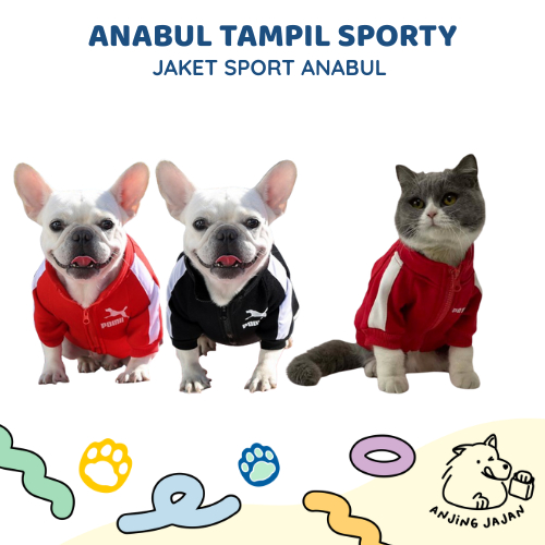 Jual Baju Anjing Kucing Model POMU | Baju Anabul Lucu | Baju Anabul ...