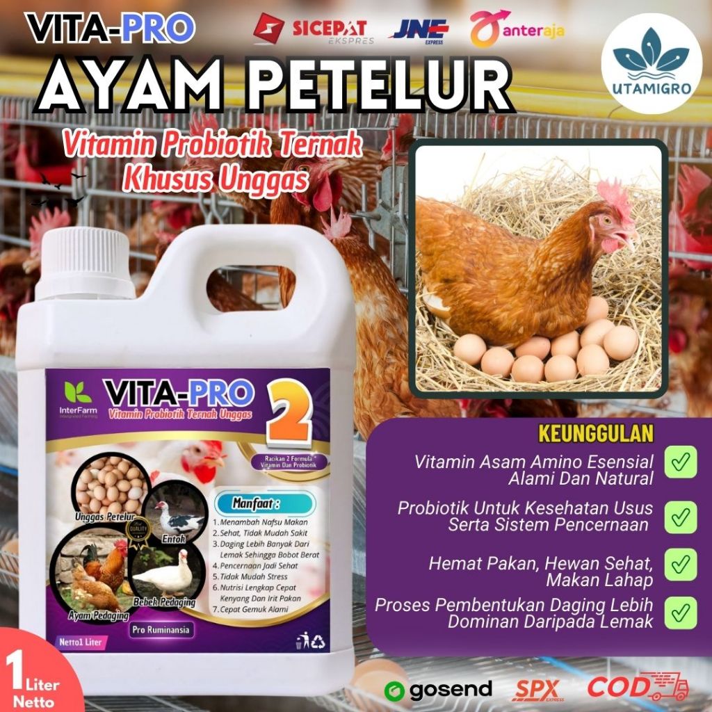 Jual Vita-Pro Ayam Petelur Vitamin Probiotik Ternak Khus Unggas ...