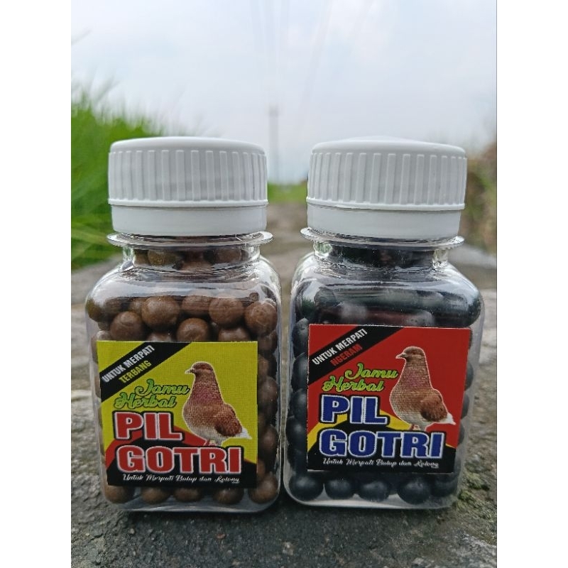 Jual Paket Jamu Merpati Pil Gotri Terbang + Pil Gotri Ngeram | Shopee ...