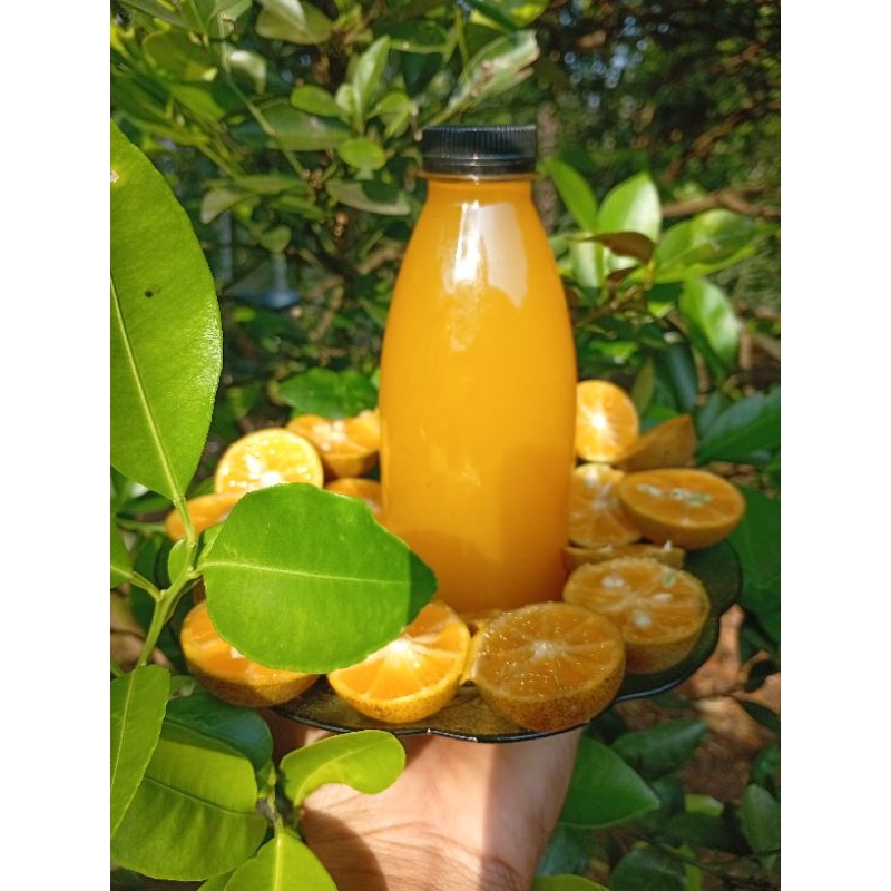 Jual sirup jeruk sonkit 100% murni sari Jeruk, Jeruk fresh songkit ...