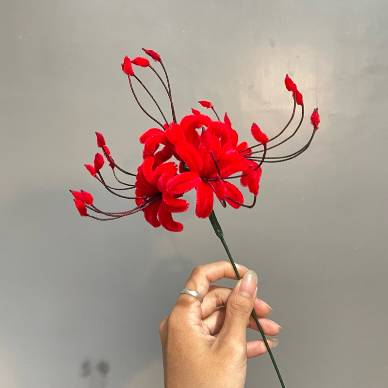 Jual {1 tangkai} bunga Spider Lily atau hidanbana flower pipe cleaner ...