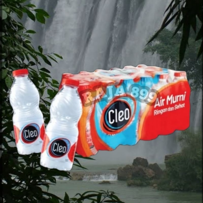 Jual CLEO MINUMAN MINERAL 220ML 1 KRAT ISI 24 PCS | Shopee Indonesia