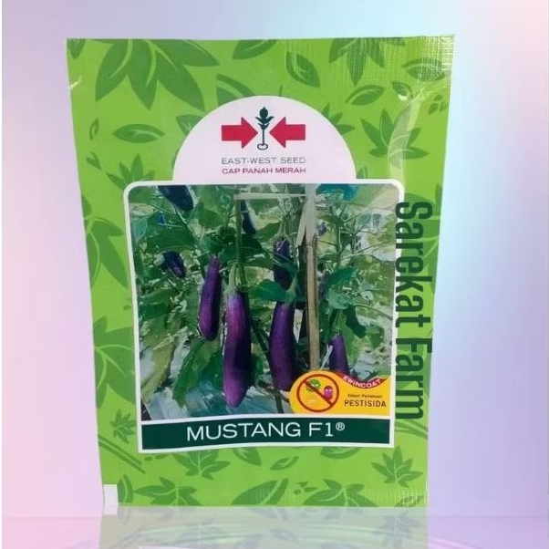 Jual BENIH BIBIT TERONG MUSTANG F1 5 GRAM KEMASAN PABRIK CAP PANAH MERAH | Shopee Indonesia