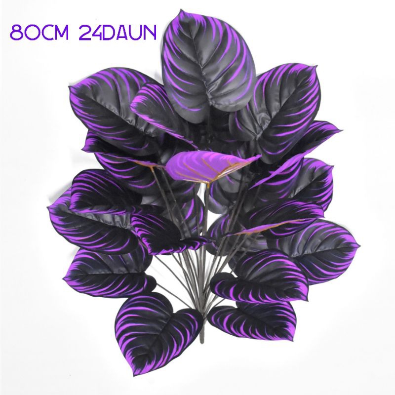 Jual Daun Calatea Ungu Tinggi 60.75.80cm 12.18.24daun Tanaman ...