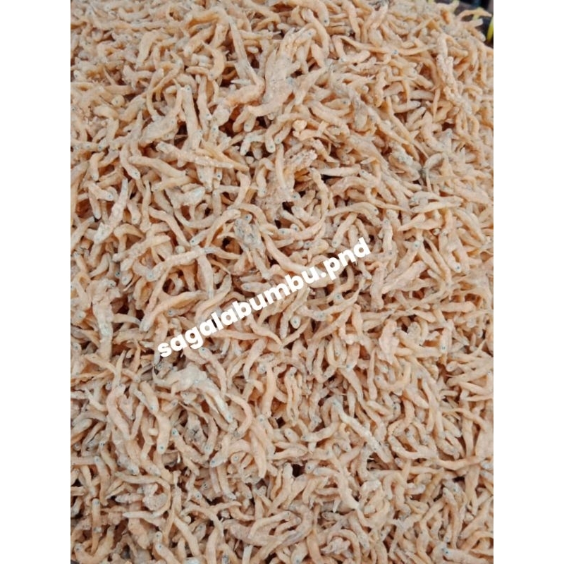 Jual Teri crispy oleh oleh Pangandaran. Teri nasi crispy teri goreng ...