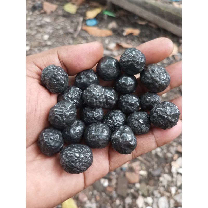 Jual butiran Batu badar besi asli original alami alam nempel magnet ...
