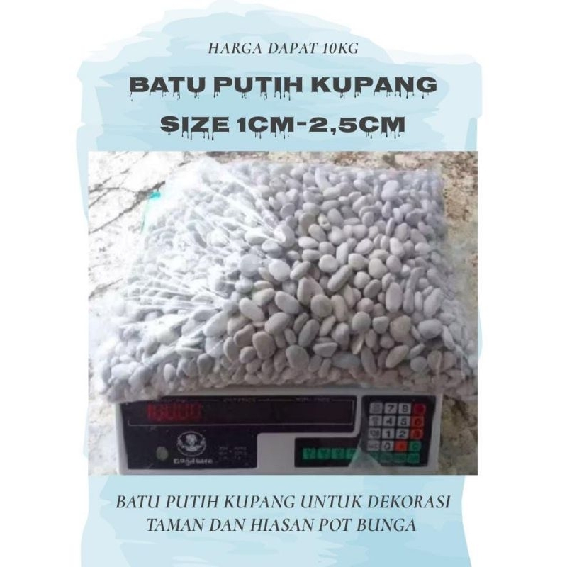 Jual Batu koral paling kecil 10kg/Batu kupang/batu taman/Batu hias ...