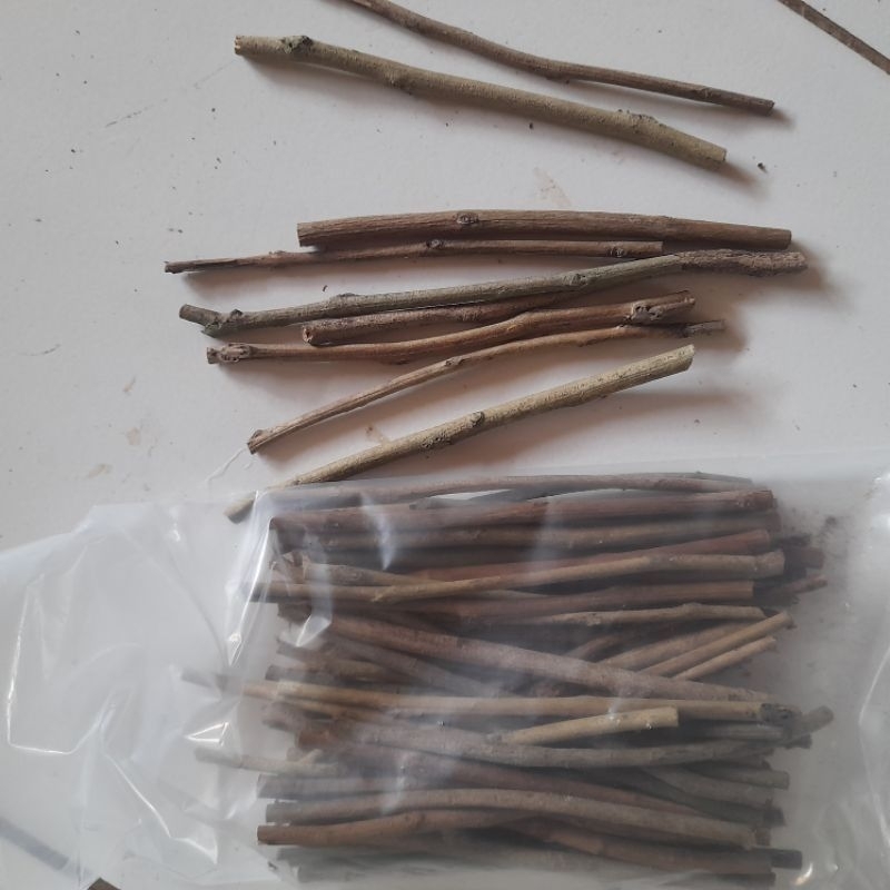 Jual ranting kayu balsa kering isi 15 batang | Shopee Indonesia