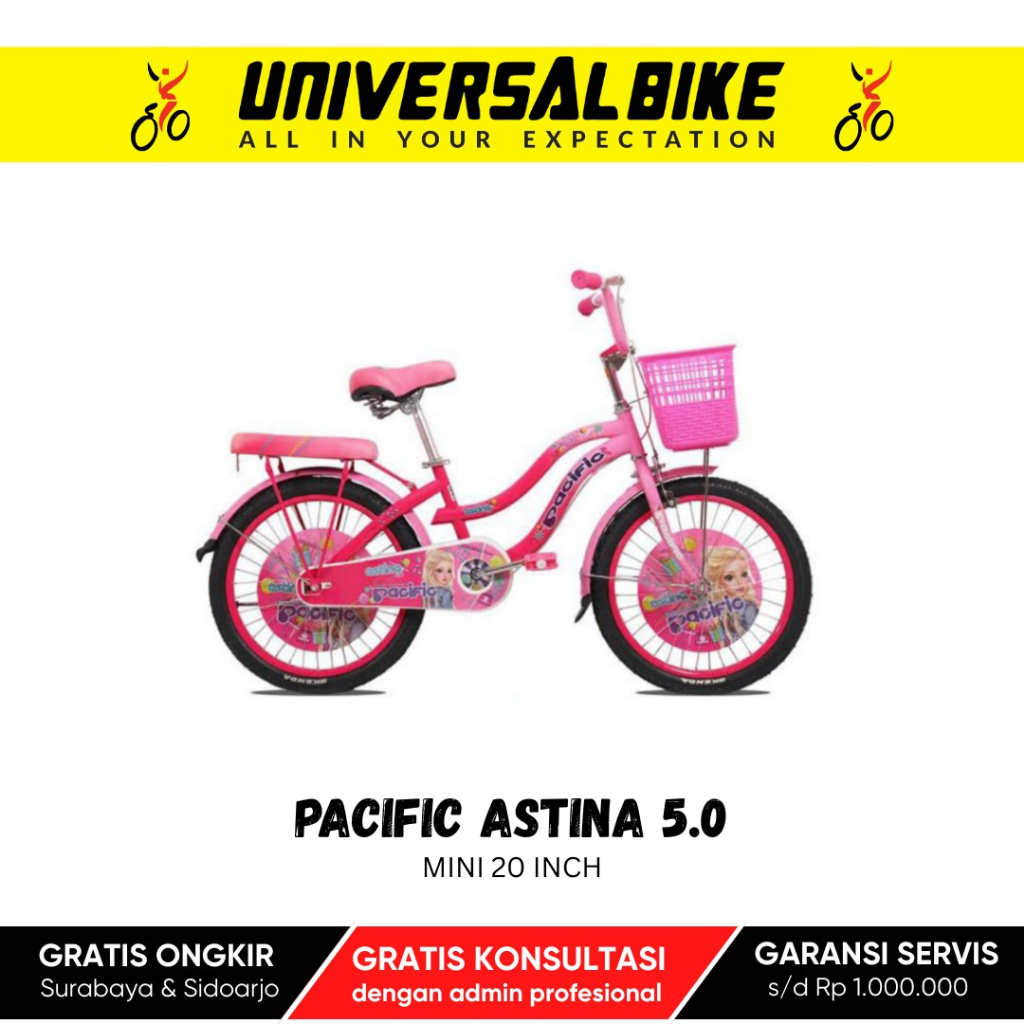 Jual Sepeda Anak Cewek Cantik! Pacific Astina 5.0 Mini 20 Inch - Edisi ...