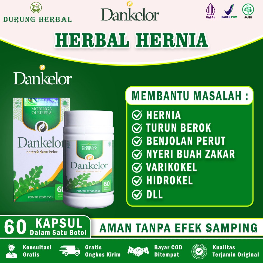 Jual Obat Herbal Hernia Turun Berok Benjolan Perut Nyeri Buah Zakar ...