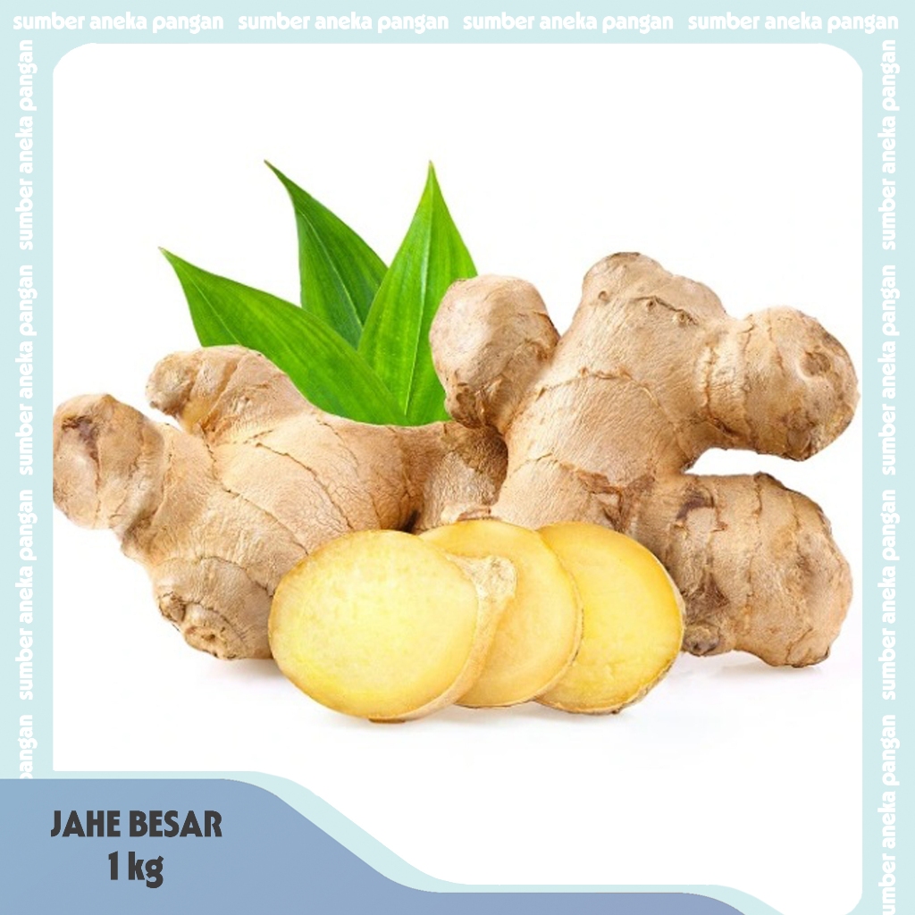 Jual Jahe Besar ukuran 1kg fresh setiap hari | Shopee Indonesia