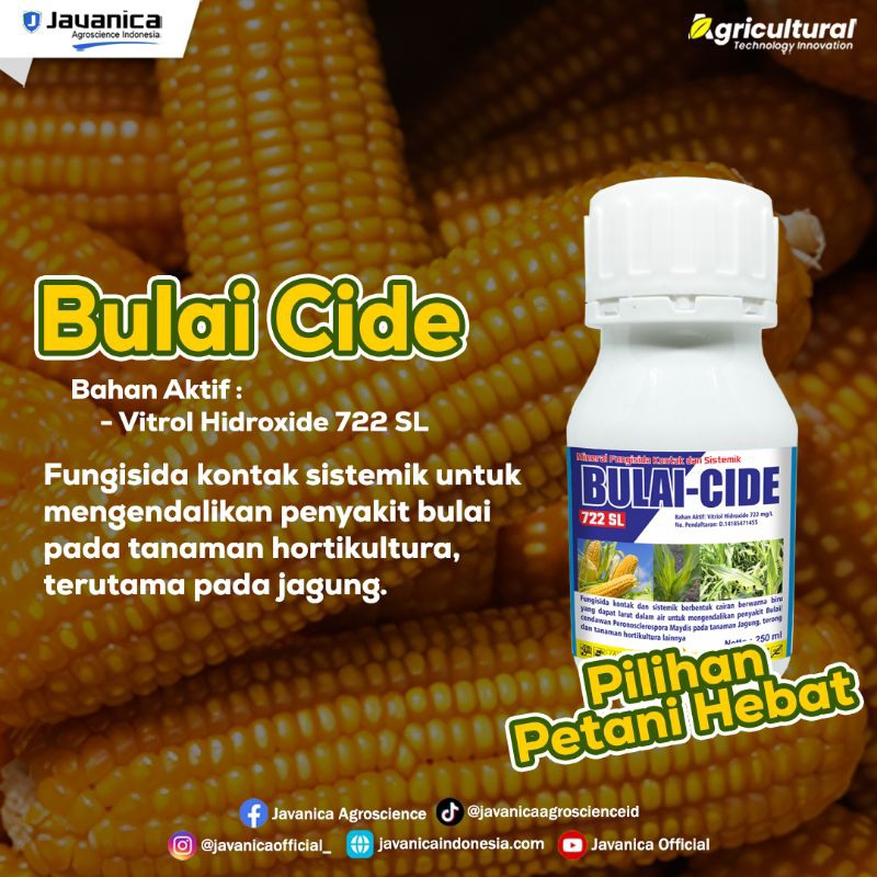 Jual JAVANICA / BULAI CIDE 722 SL ( 250ml ) | Shopee Indonesia