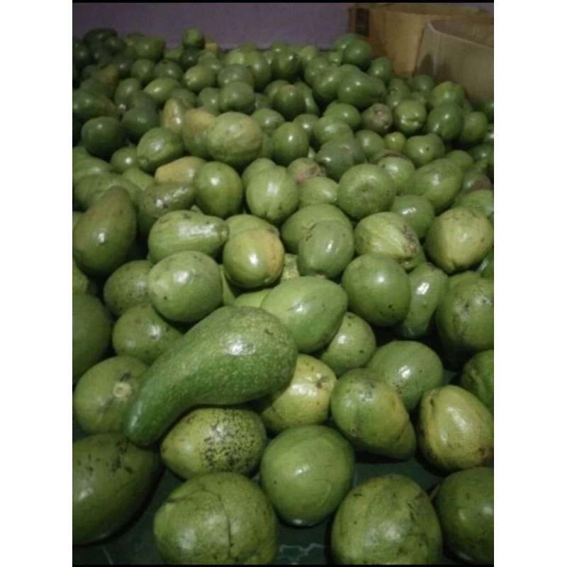 Jual Alpukat mentega 1kg isi 3 - 4 butir kuning dagingnya tebal ...