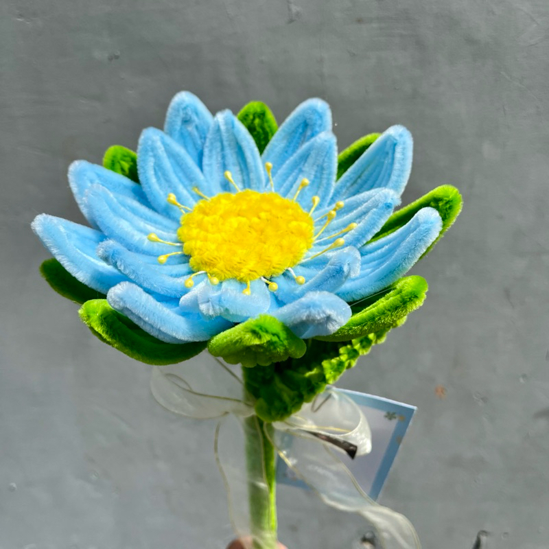 Jual Giant Flower - Bunga jumbo teratai lotus - big flower - bunga satu ...