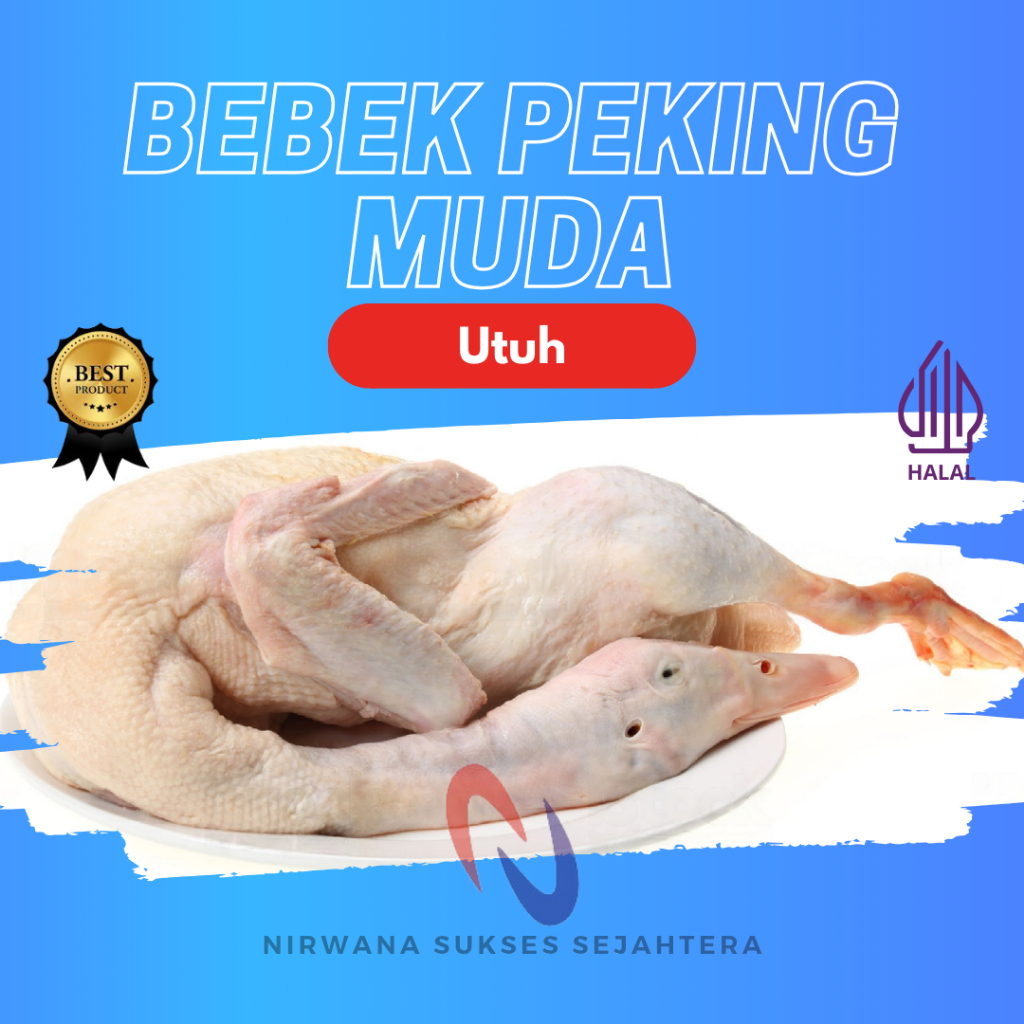 Jual BEBEK PEKING MUDA UTUH / WHOLE PEKING BABY DUCK | Shopee Indonesia