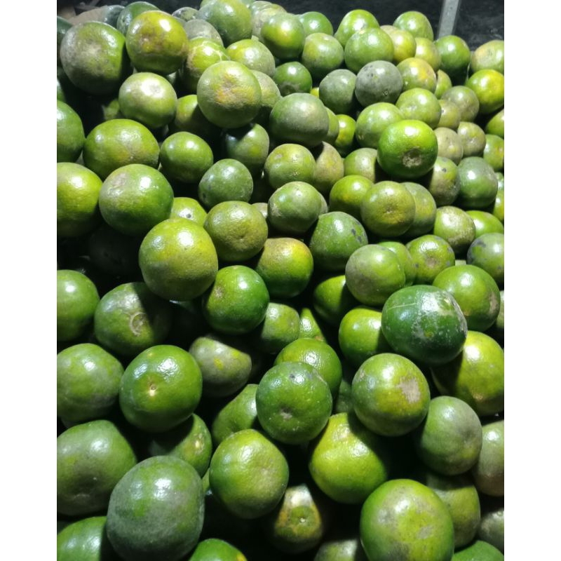 Jual jeruk manis jember 250gram | Shopee Indonesia