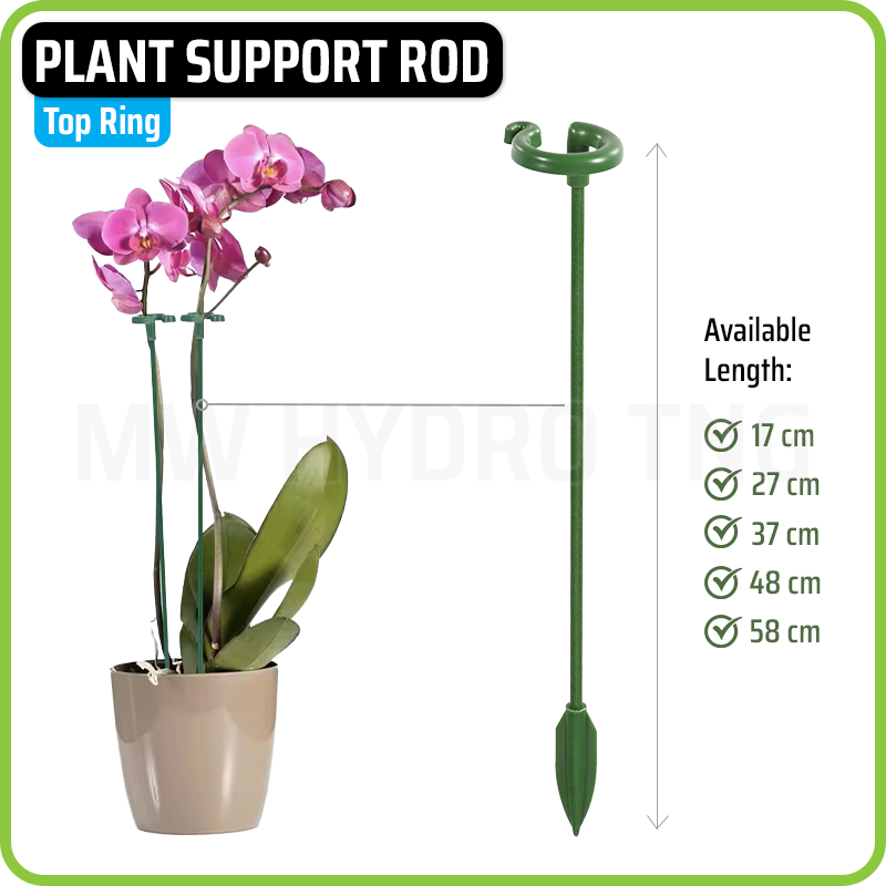 Jual Plant Support Rod with Top Ring - 3 mm Solid Fiberglass | Tiang ...