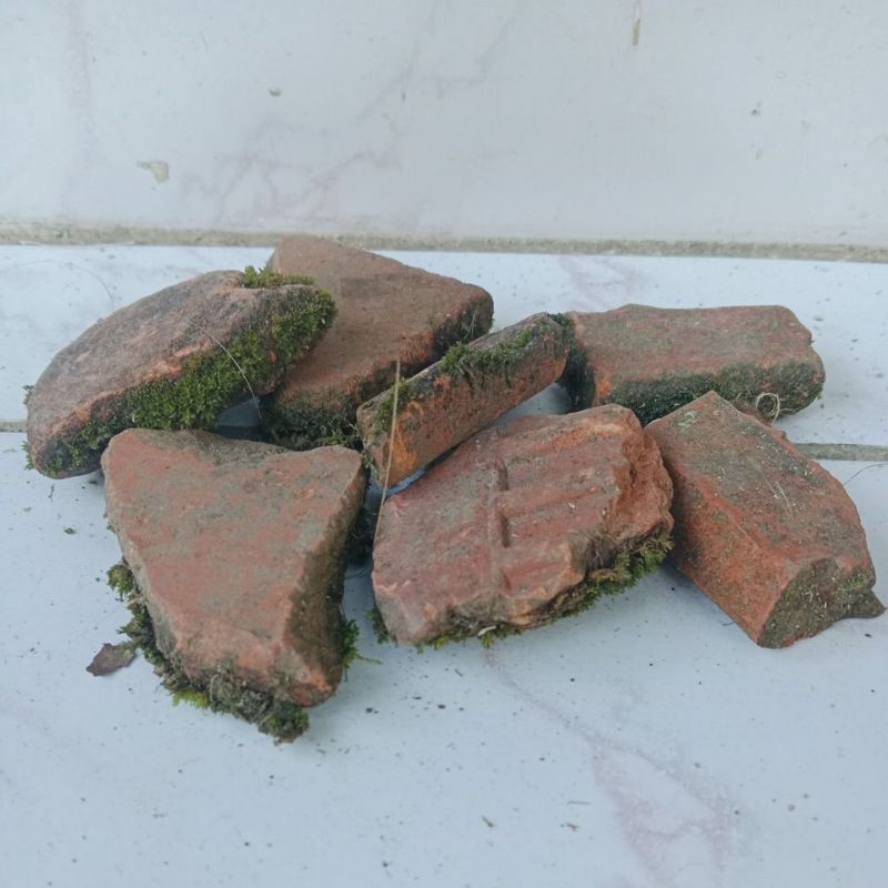 Jual Pecahan Genteng Sokka/Campuran Media Tanam Kemasan 1 kg | Shopee ...