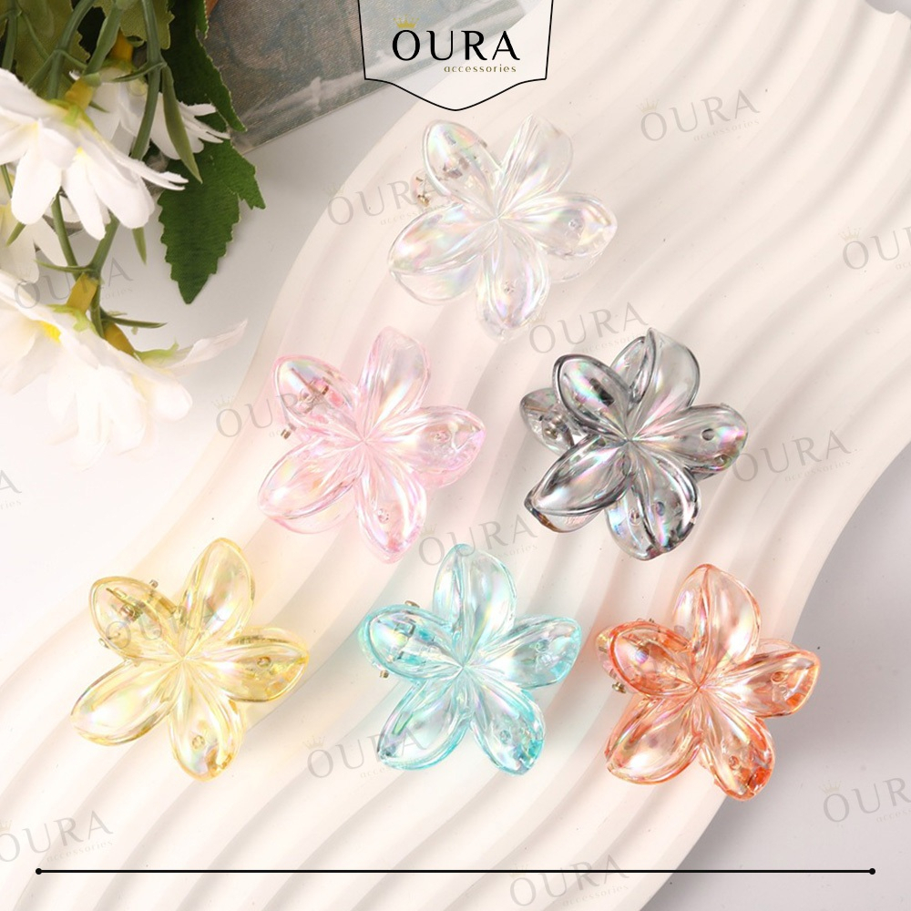 Jual Jepit Rambut Bunga Kamboja Mini Glossy 4 Cm Flower Hairclip ...