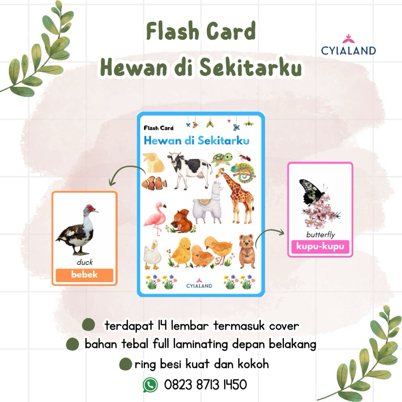 Jual Flash Card Hewan di Sekitarku - Kartu Belajar Anak atau Bayi untuk ...