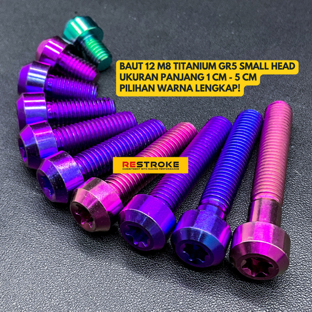 Jual BAUT 12 M8 PANJANG 1cm - 5cm TITANIUM GR5 ORIGINAL PTITANIUM VIETNAM | Shopee Indonesia