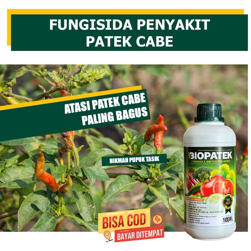 Jual PROMO (COD) BIOPATEK Fungisida Atasi Penyakit Busuk Phytophthora ...